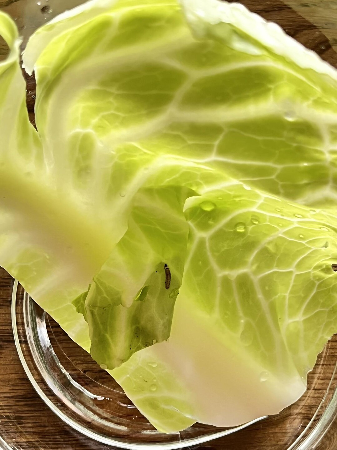 Day 2 / junnnnさんのモーメント | YAMAP / ヤマップ