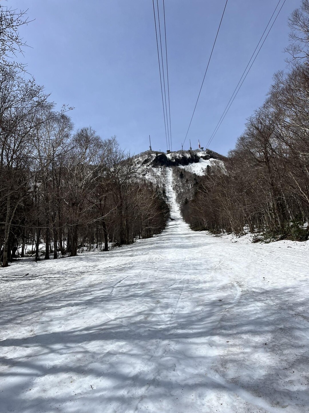 手稲山 / mamoさんの手稲山・奥手稲山の活動データ | YAMAP / ヤマップ