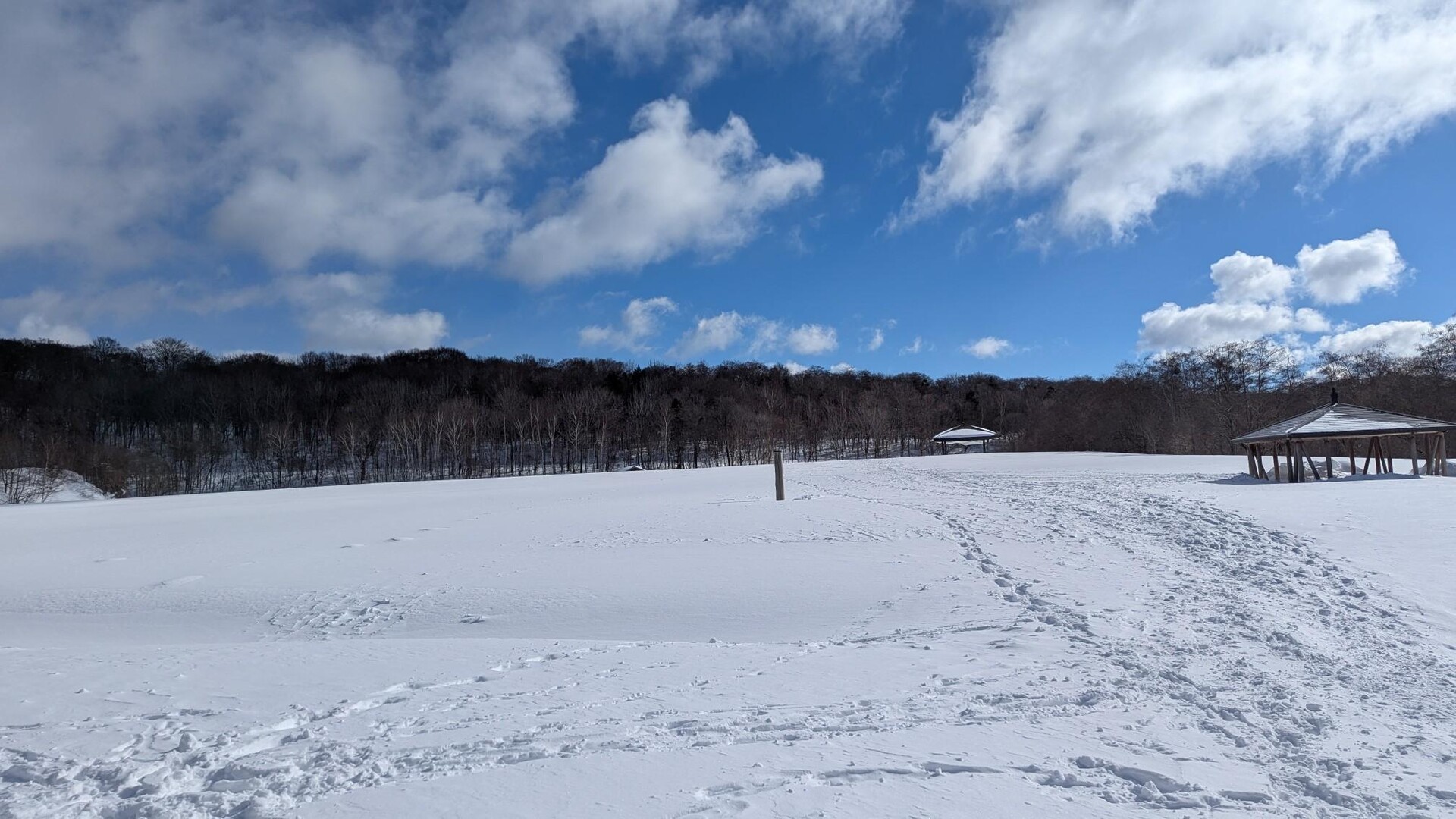 スノーハイク尼ヶ禿山 / Goodsunさんの武尊山・鹿俣山・尼ヶ禿山の活動データ | YAMAP / ヤマップ