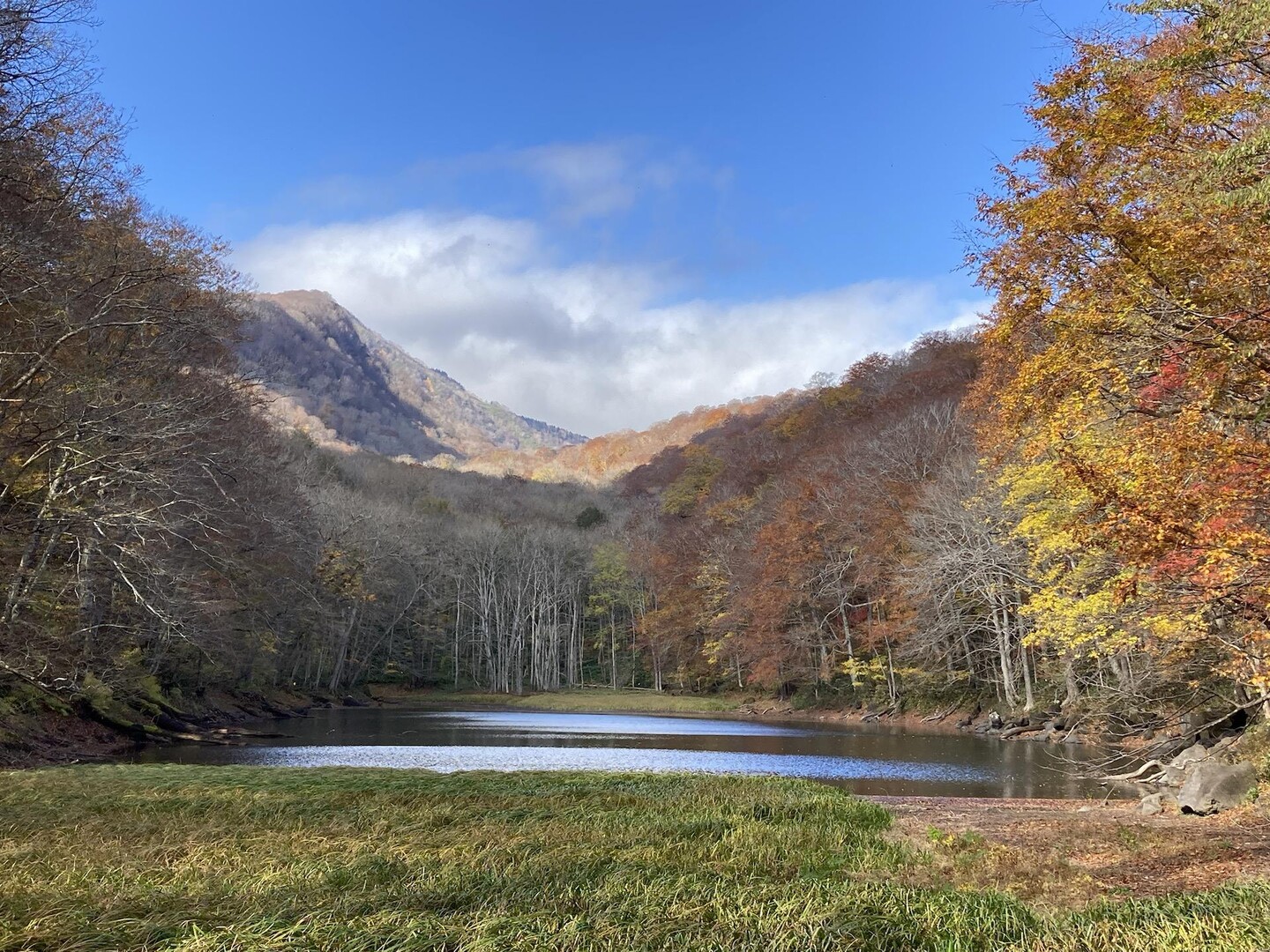 蔦野鳥の森自然散策路-2024-10-28 / mayuさんの八甲田山・高田大岳・雛岳の活動データ | YAMAP / ヤマップ