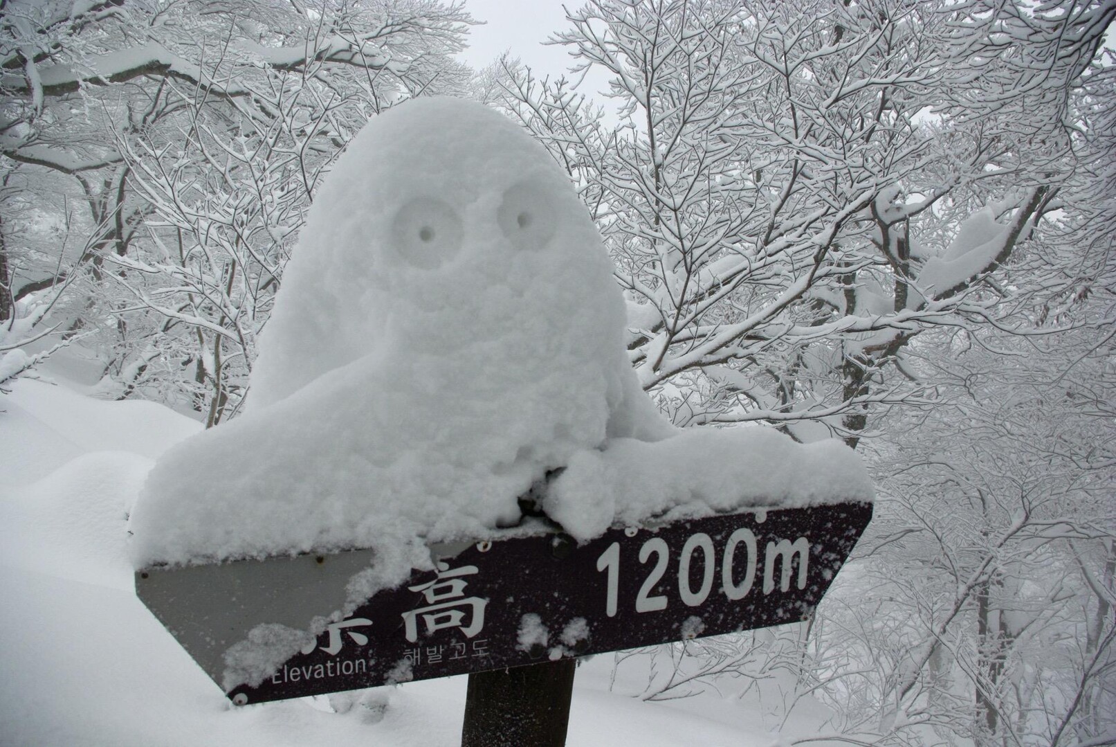 大山（弥山） / bunさんの大山・甲ヶ山・野田ヶ山の活動データ | YAMAP / ヤマップ