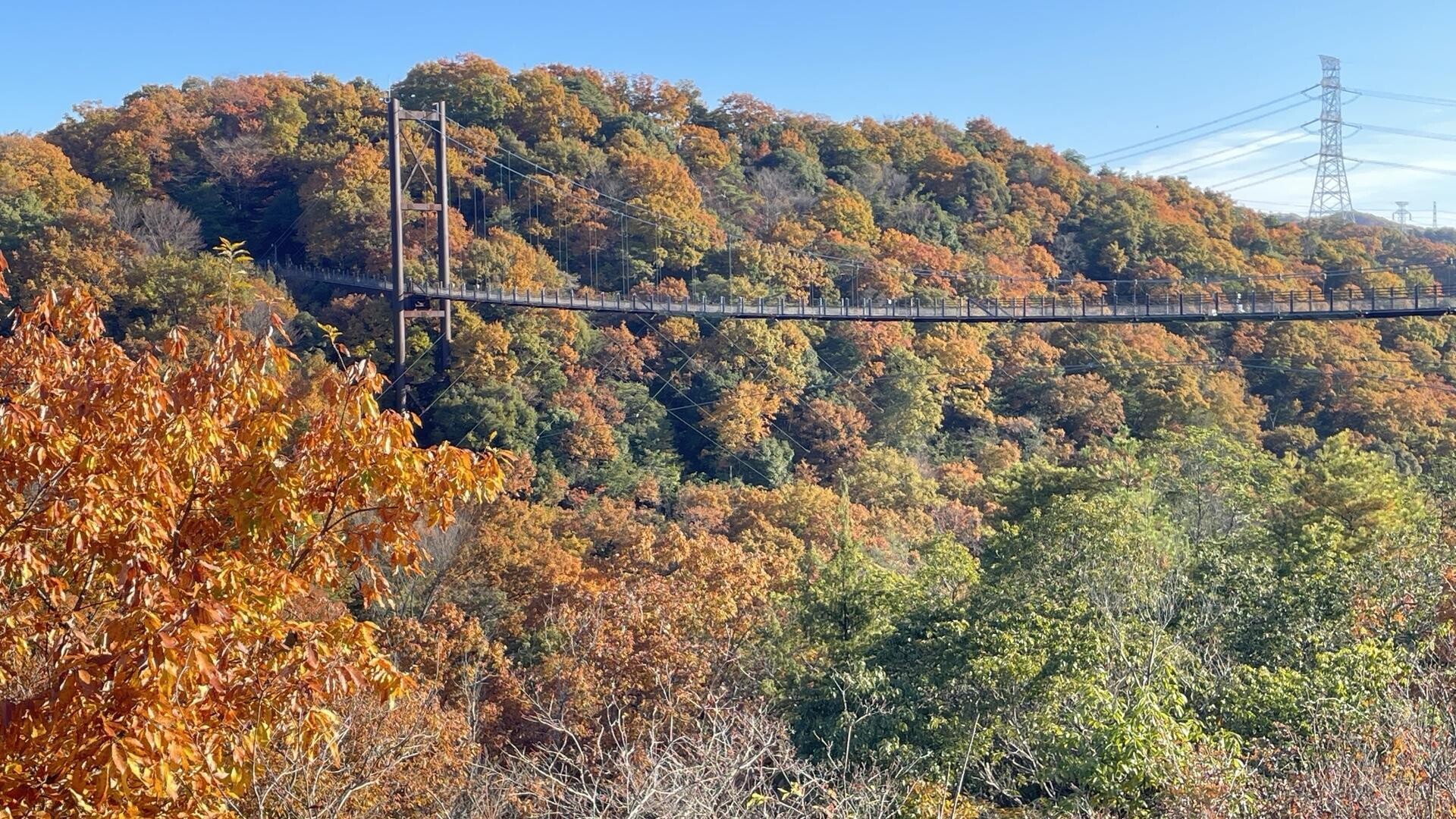 紅葉の星田🍁60座を目指して44座でtime's up / IKUKOさんの交野山・国見山の活動データ | YAMAP / ヤマップ
