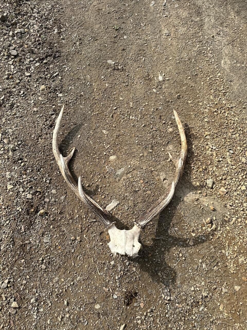 いっCのページ | YAMAP / ヤマップ