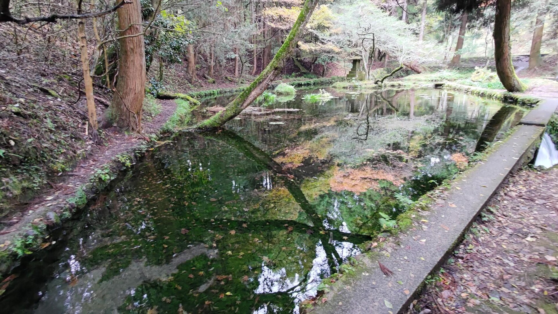 山吹水源 / anto SSさんの草原の村・うぶやまトレッキング 山吹水源と扇棚田コースの活動データ | YAMAP / ヤマップ