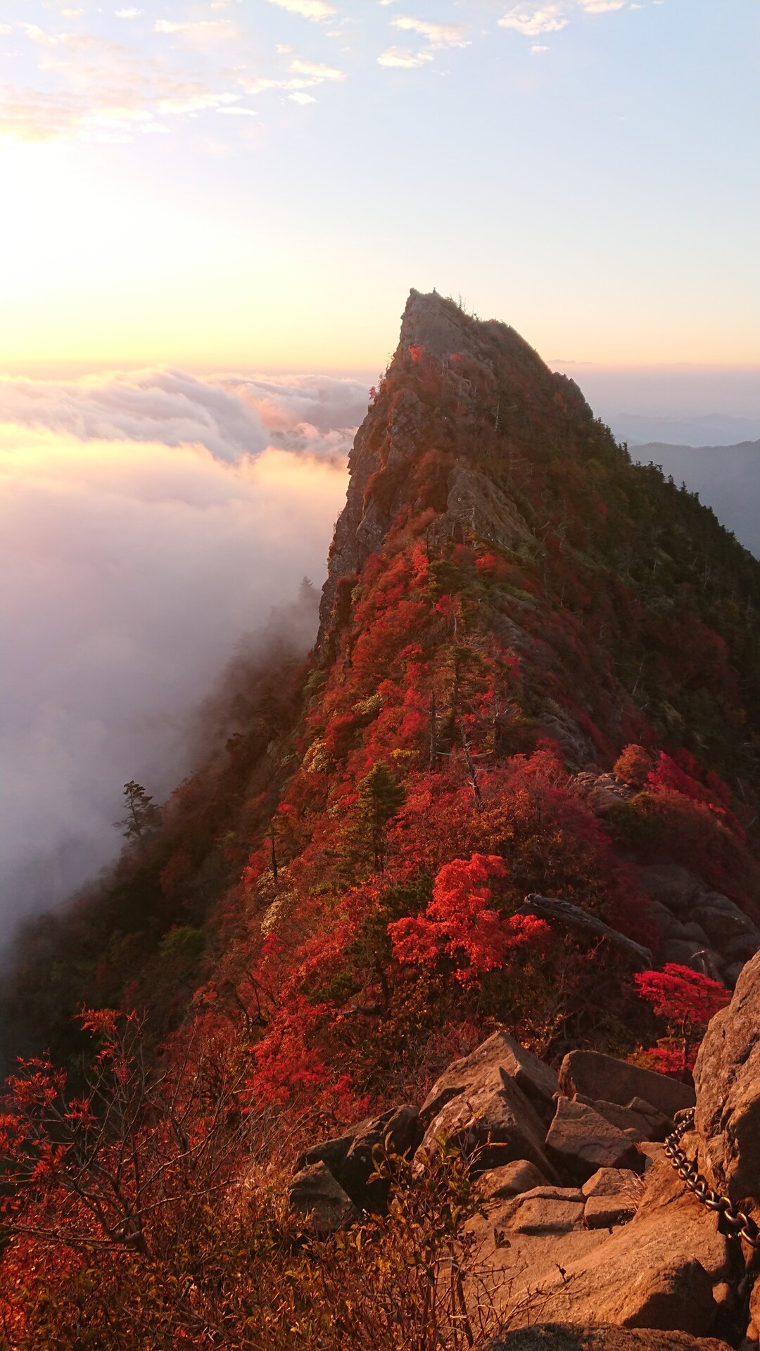 ★ 石鎚山 ★ 紅葉と雲海と満天の星空フル満喫 / sakura.nnさんの石鎚山・堂ヶ森・二ノ森の活動データ | YAMAP / ヤマップ