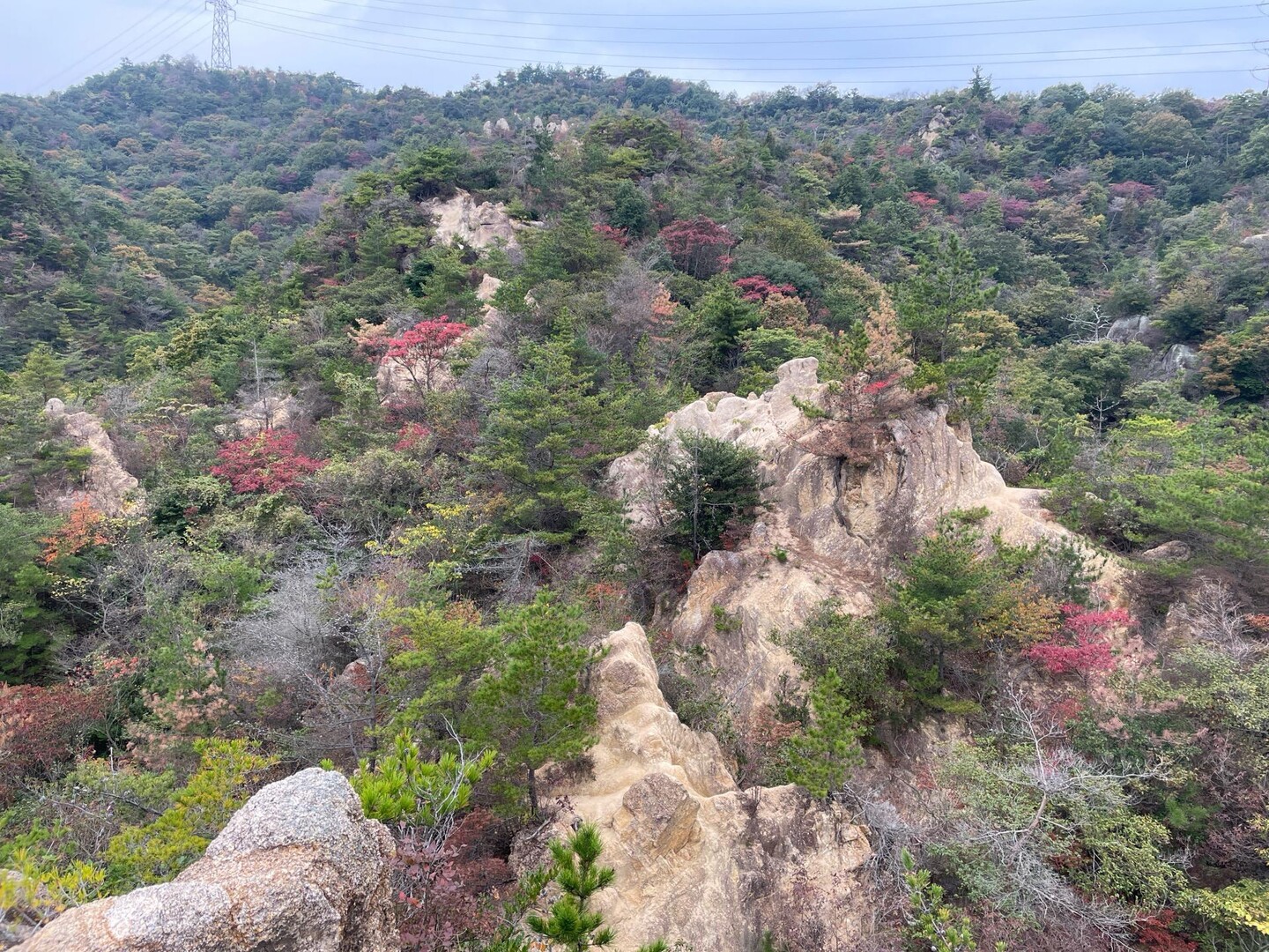 東お多福山・六甲山 / TKさんの六甲山・長峰山・摩耶山の活動データ | YAMAP / ヤマップ