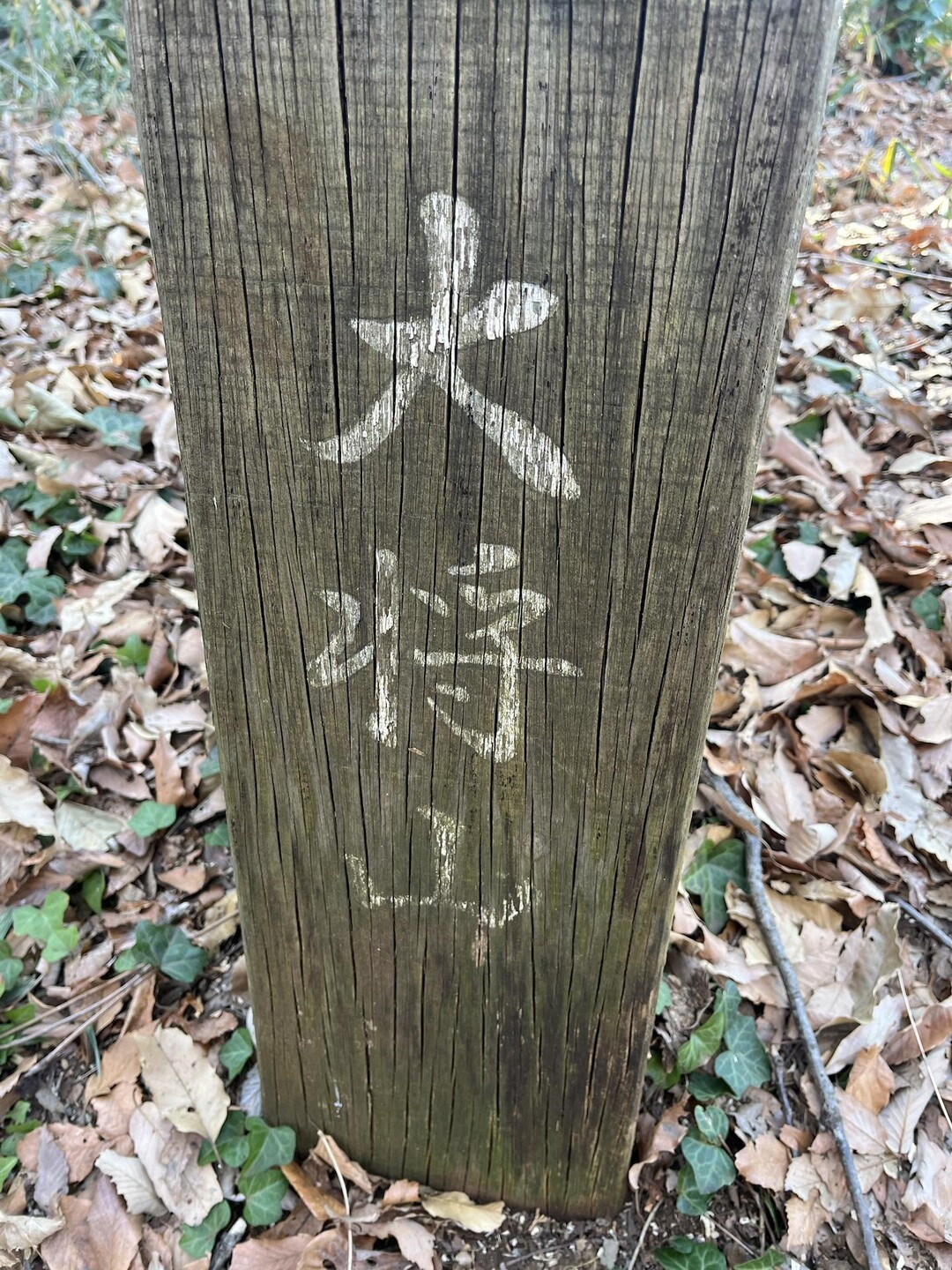 金比羅山・大将山・阿須赤城山・阿須山 / まちゃまちゃ♬mmmnさんの加治丘陵・七国山の活動データ | YAMAP / ヤマップ