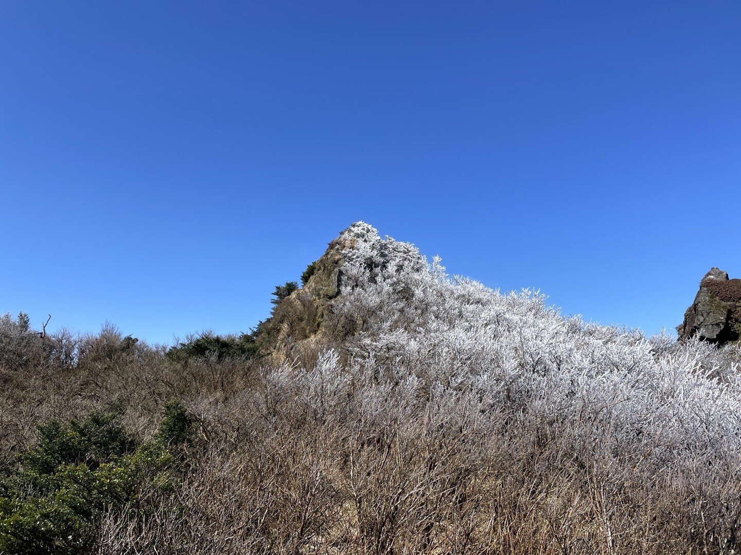 春合宿2日目 立岩の峰・普賢岳（雲仙岳） / Solidaさんの雲仙岳・普賢岳・絹笠山の活動データ | YAMAP / ヤマップ
