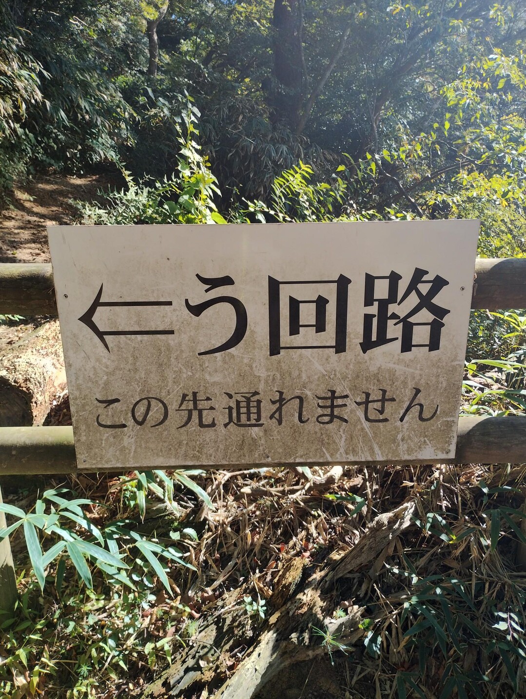 900m級 六甲山 / mimitabuさんの六甲山・長峰山・摩耶山の活動データ | YAMAP / ヤマップ