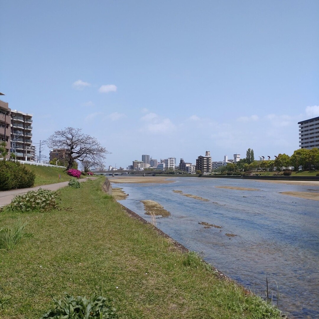 LSDトレ 室見川ラン🥺 / ちょみさんの高祖山・飯盛山・叶岳の活動データ | YAMAP / ヤマップ