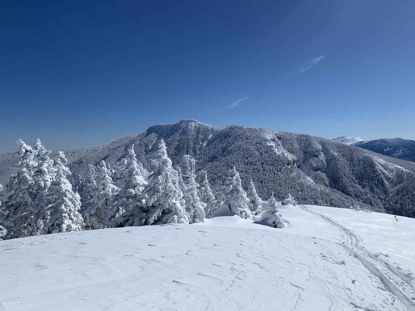 小根子岳・根子岳 / yukoさんの四阿山・根子岳の活動データ | YAMAP / ヤマップ