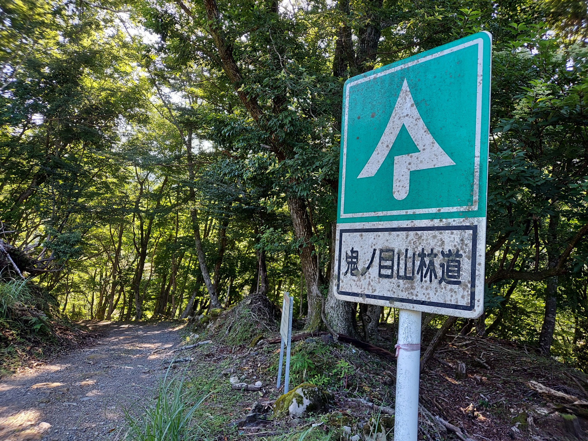 鬼ノ目山林道より鬼の目山・国見山・鉾岳 / derainandreさんの鉾岳・鬼の目山の活動データ | YAMAP / ヤマップ