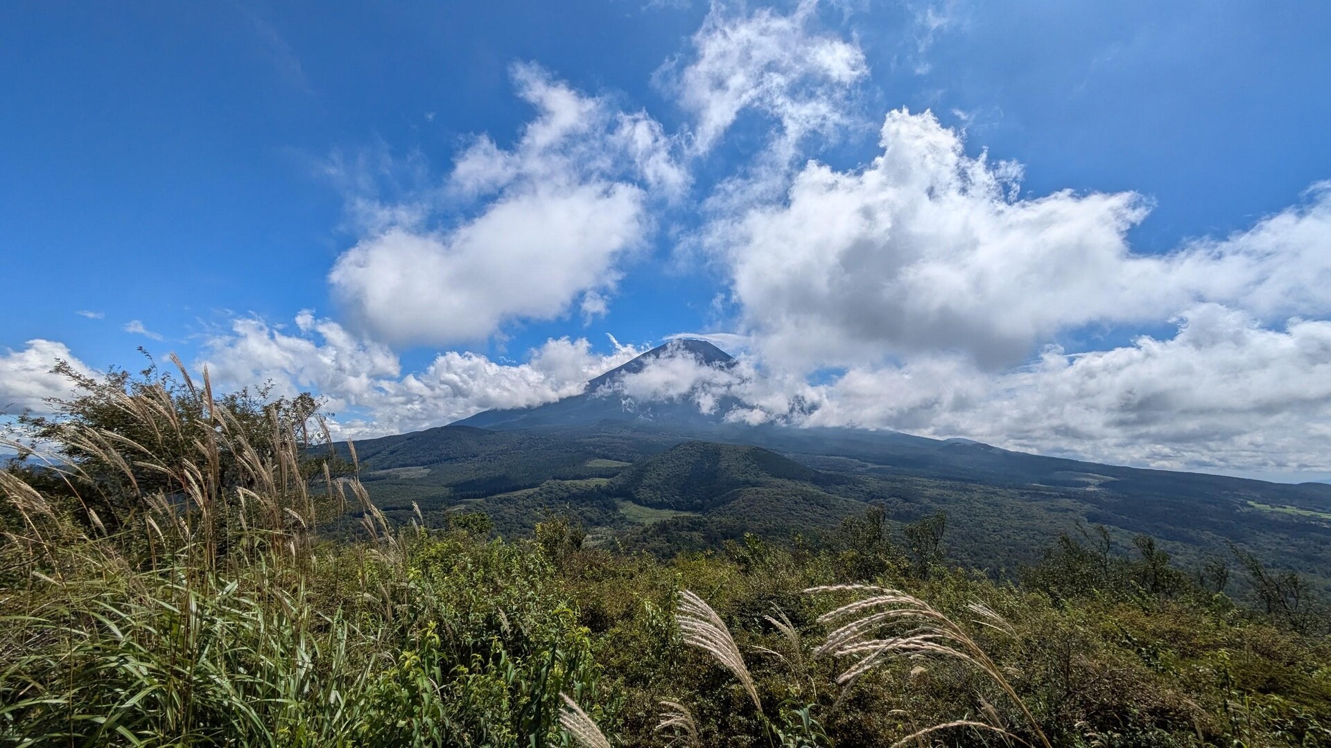 ko usさんの投稿したフィールドメモ | YAMAP / ヤマップ