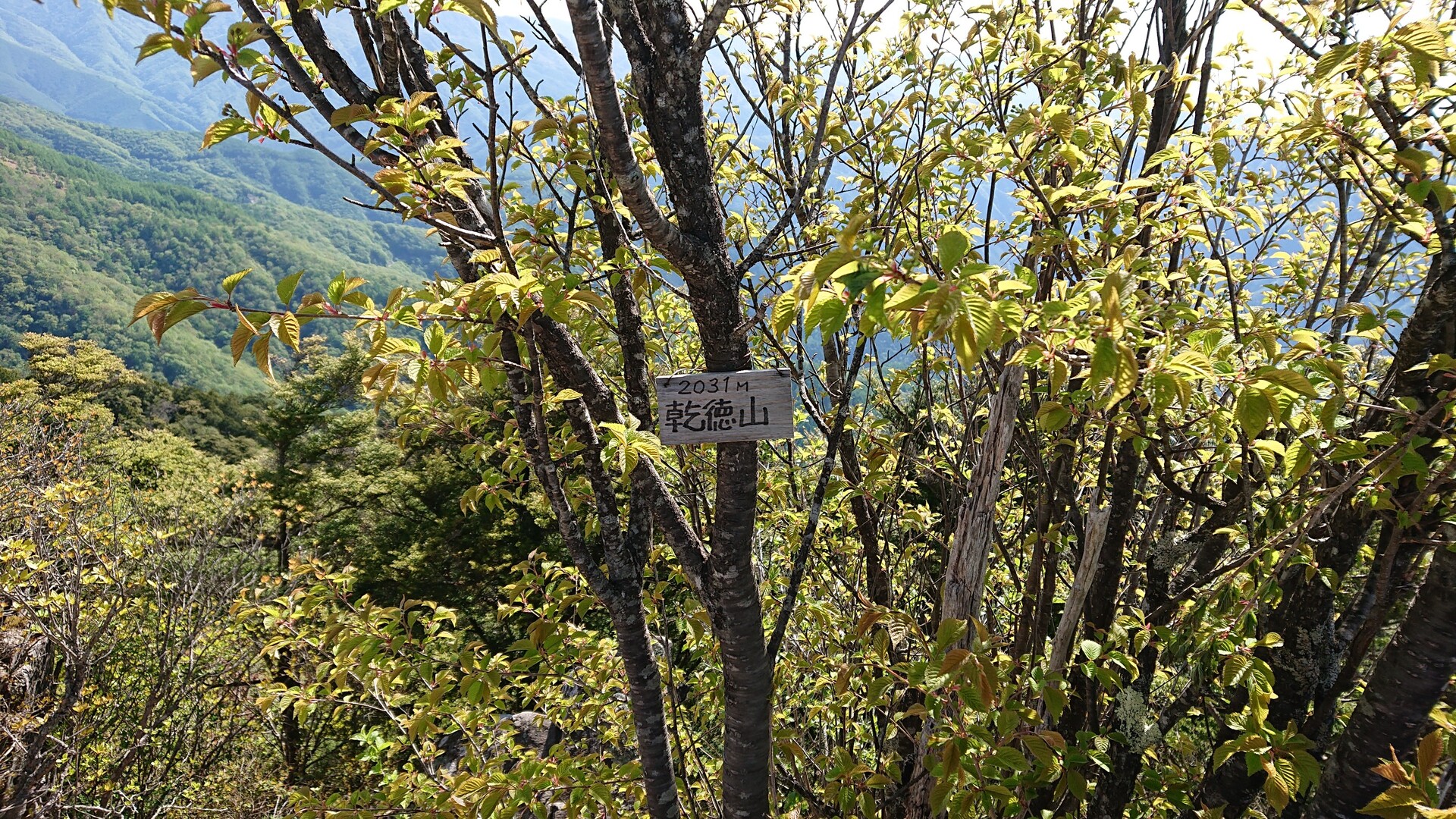 シンプルに乾徳山 / big 9さんの乾徳山・黒金山の活動データ | YAMAP / ヤマップ