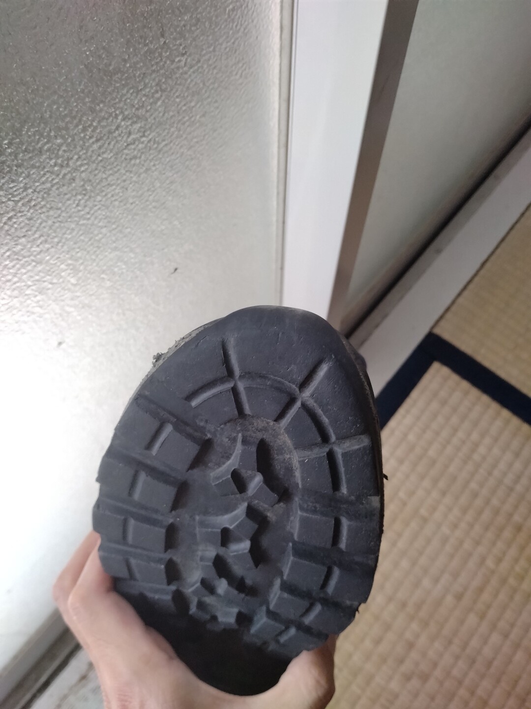 真夏は基本的に登山限らず、アウトドアの遊... / nanohさんのモーメント | YAMAP / ヤマップ