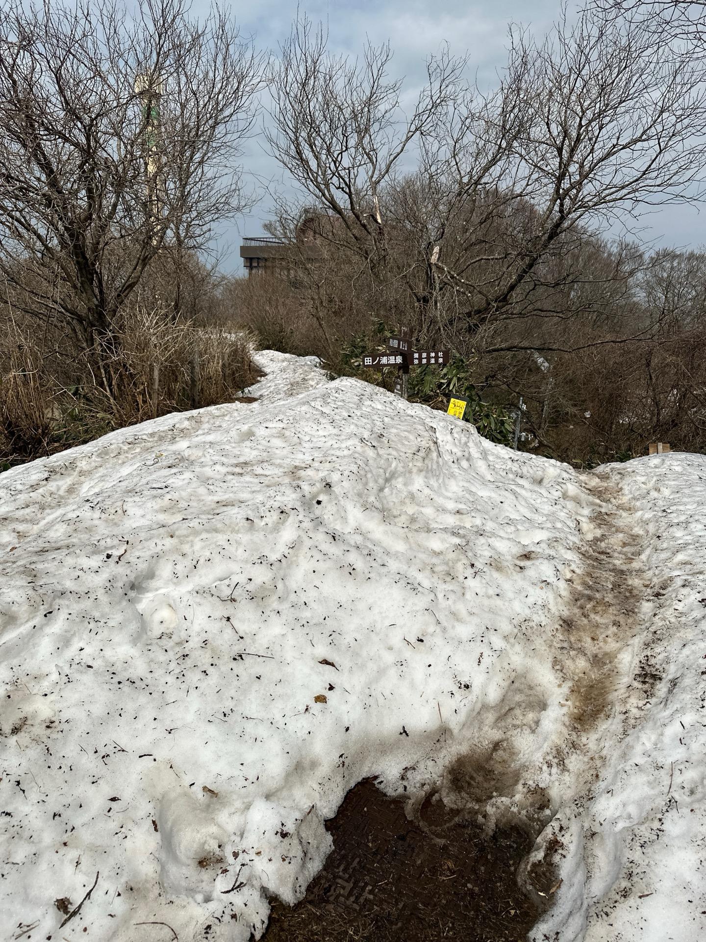 弥彦山 / moda -suさんの弥彦山・多宝山・雨乞山の活動データ | YAMAP / ヤマップ