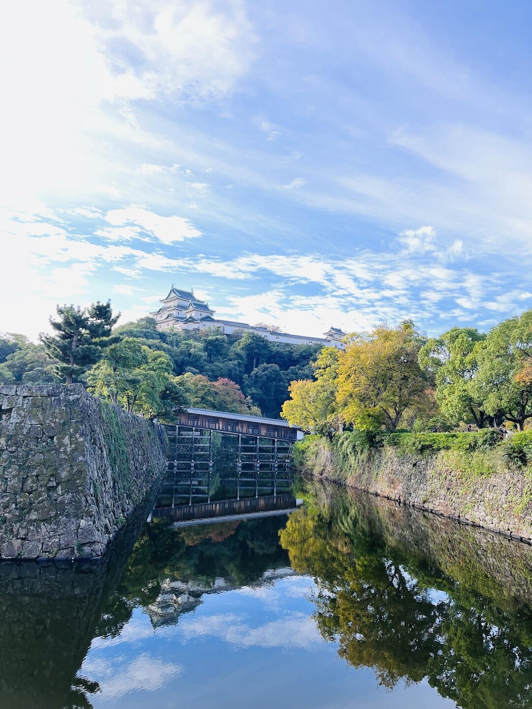 和歌山ジャズマラソン2024 / Mt.top山さんのランニングの活動データ | YAMAP / ヤマップ