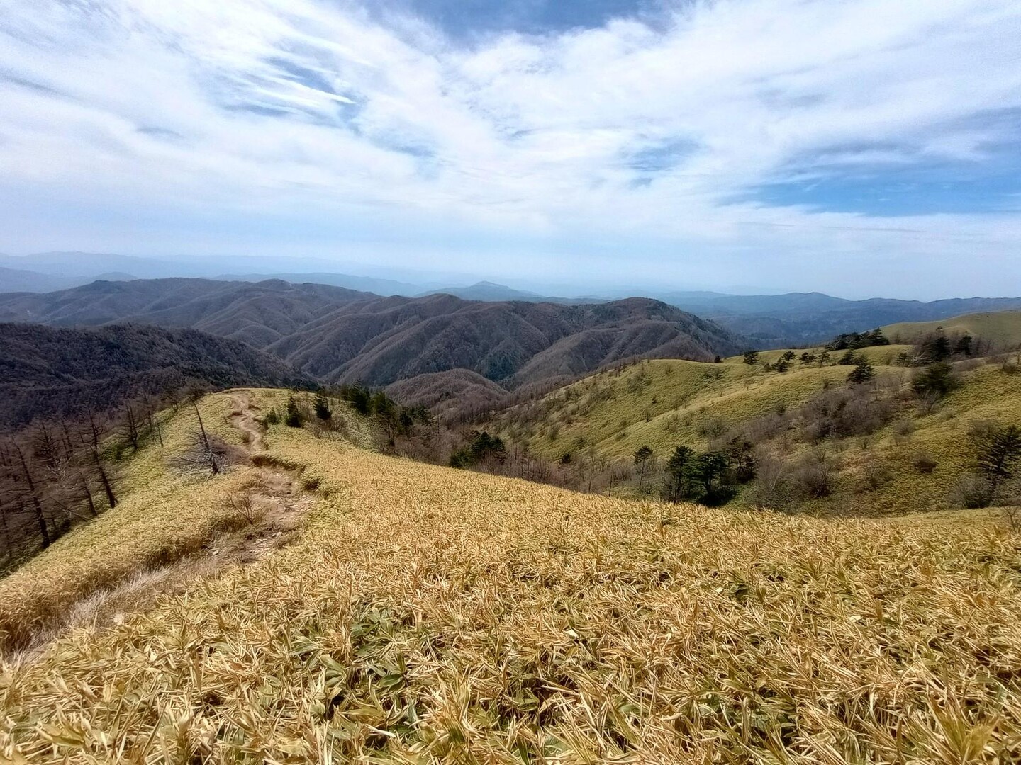 🚘車で行く🚙日帰りソロ🏔横岳・大川入山🏯⛰近場の山 / GNMTさんの大川入山・横岳の活動データ | YAMAP / ヤマップ