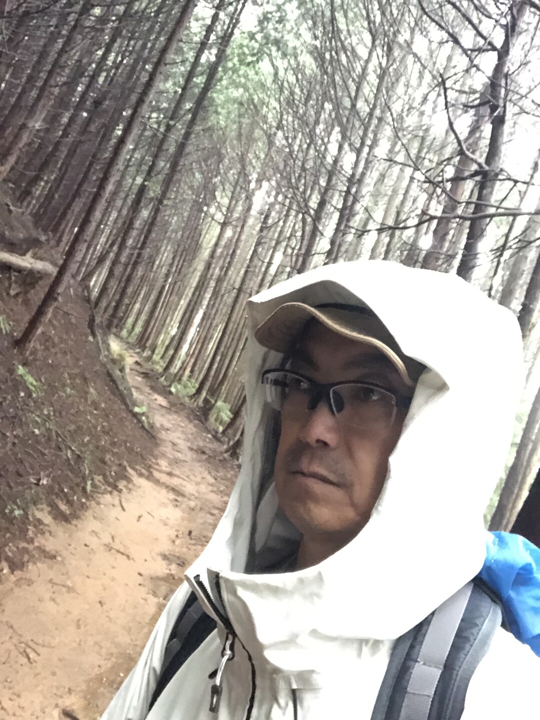 雨の☔️飯能アルプス😭 / norinoriさんの武甲山・伊豆ヶ岳・小持山の活動データ | YAMAP / ヤマップ