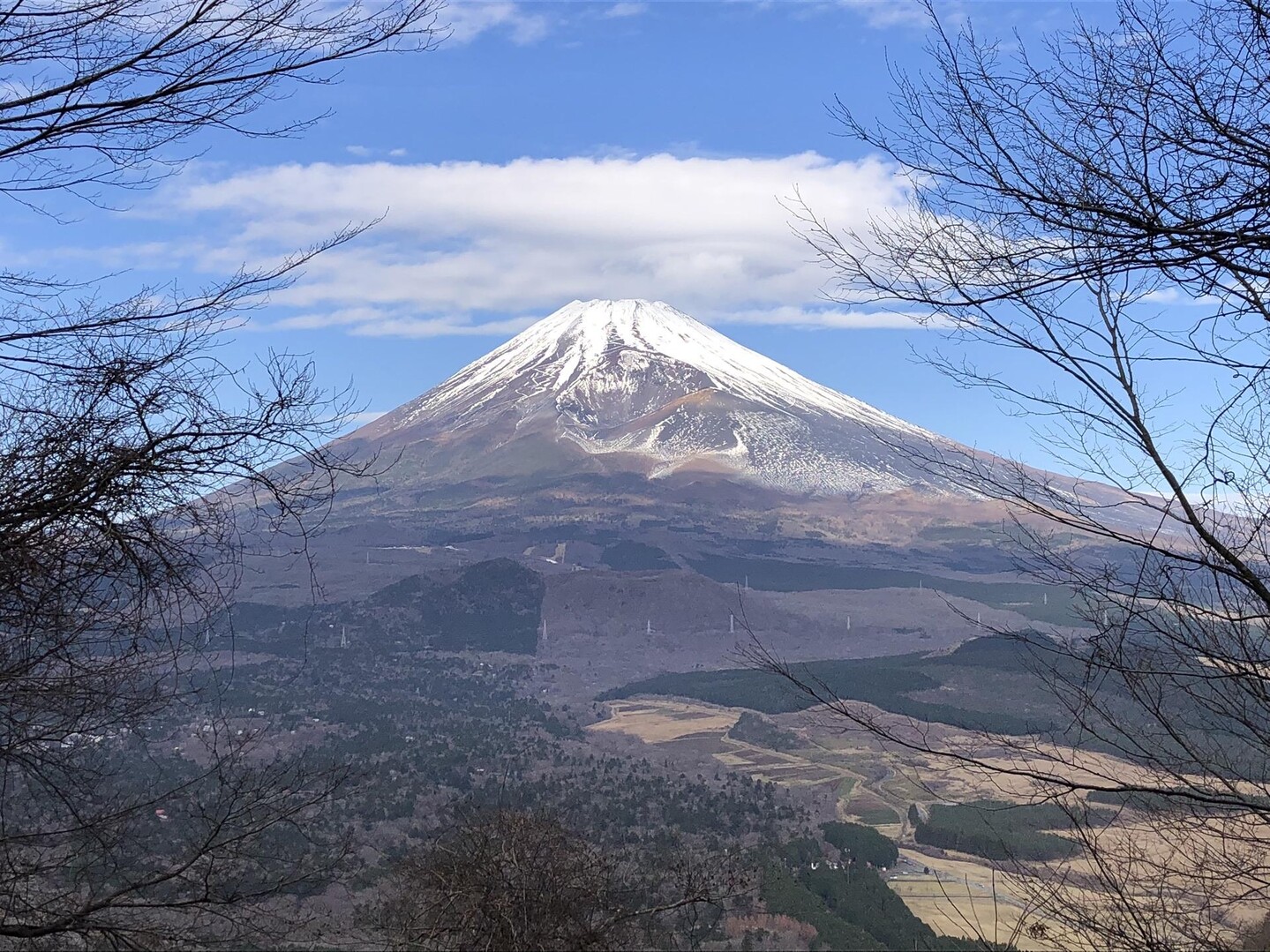 愛鷹山の黒岳にて、年末恒例の忘年会 / ms1967さんの愛鷹山・大岳・黒岳の活動データ | YAMAP / ヤマップ