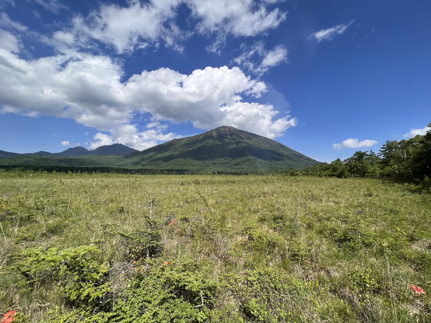 高山〜小田代ヶ原・戦場ヶ原 / aurelieさんの日光白根山・五色山・錫ヶ岳の活動データ | YAMAP / ヤマップ