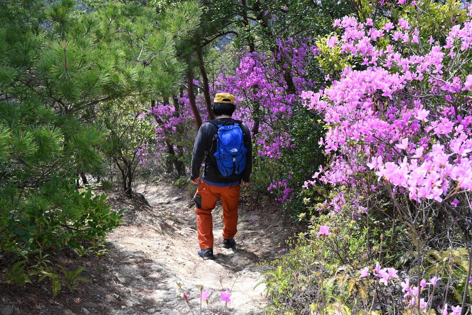 雨山 / hikaさんの雨山の活動データ | YAMAP / ヤマップ