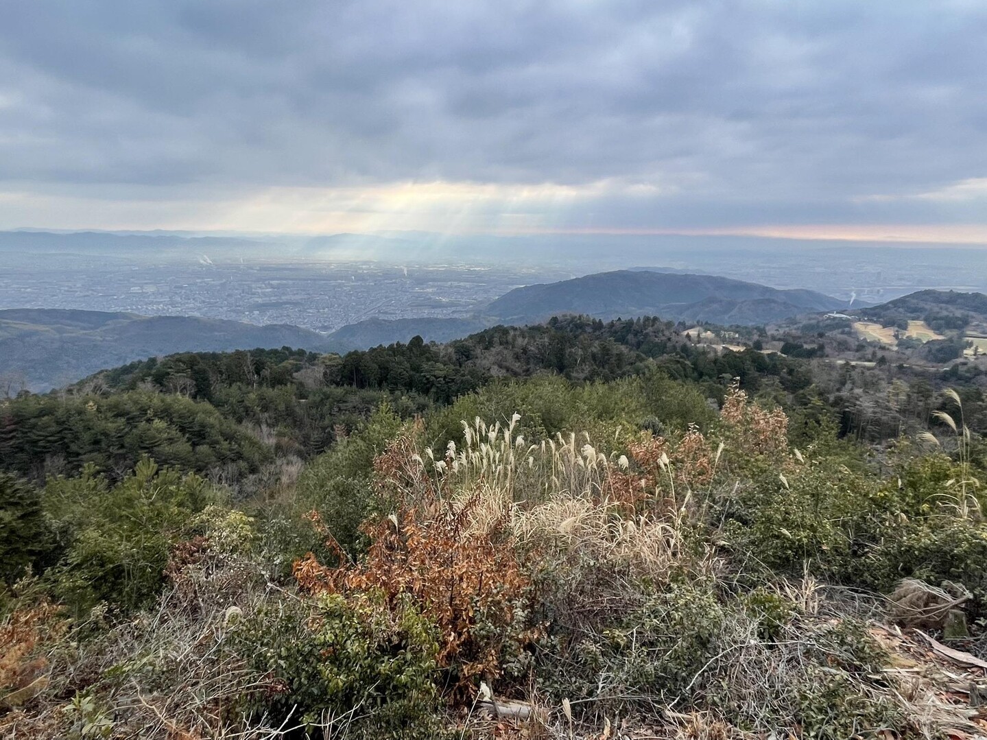 ポンポン山・釈迦岳・大沢山 / brocken_sさんのポンポン山・釈迦岳・小塩山・若山の活動データ | YAMAP / ヤマップ