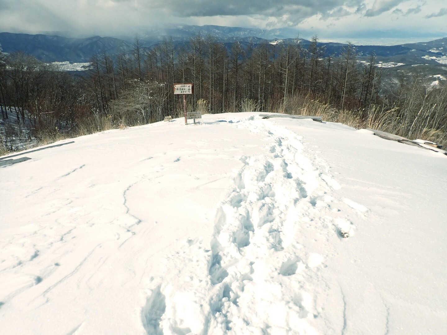 守屋山（上社からスノーシュー） / RYZさんの守屋山の活動データ | YAMAP / ヤマップ