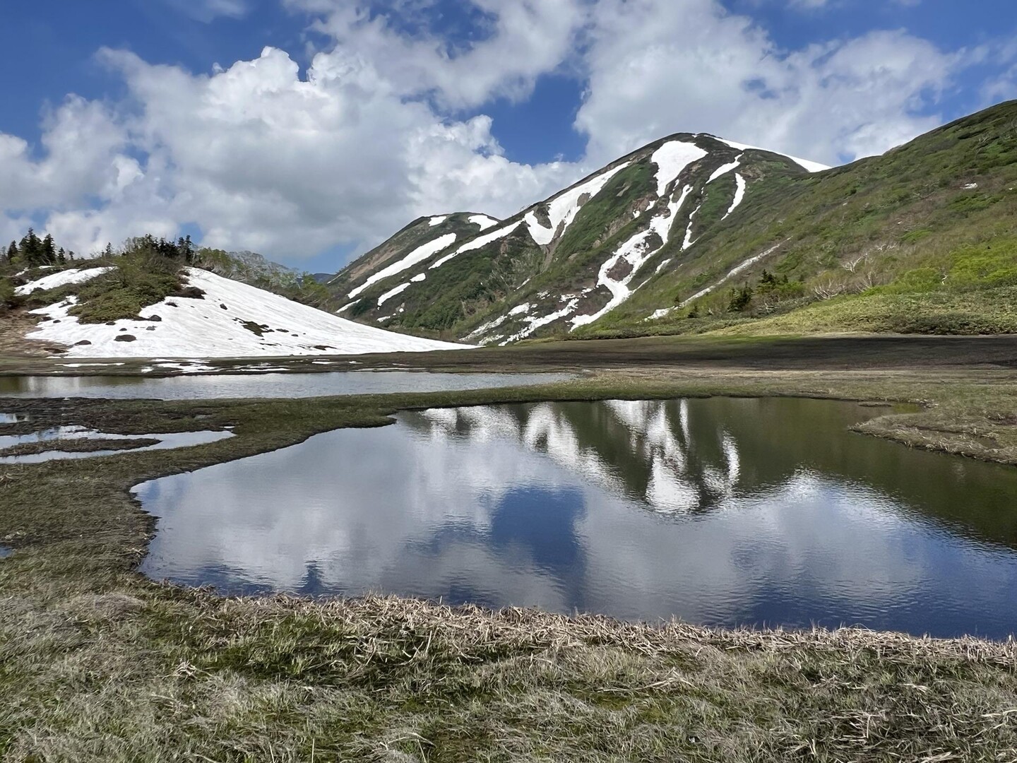 火打山 / Shot@さんの妙高山・火打山の活動データ | YAMAP / ヤマップ