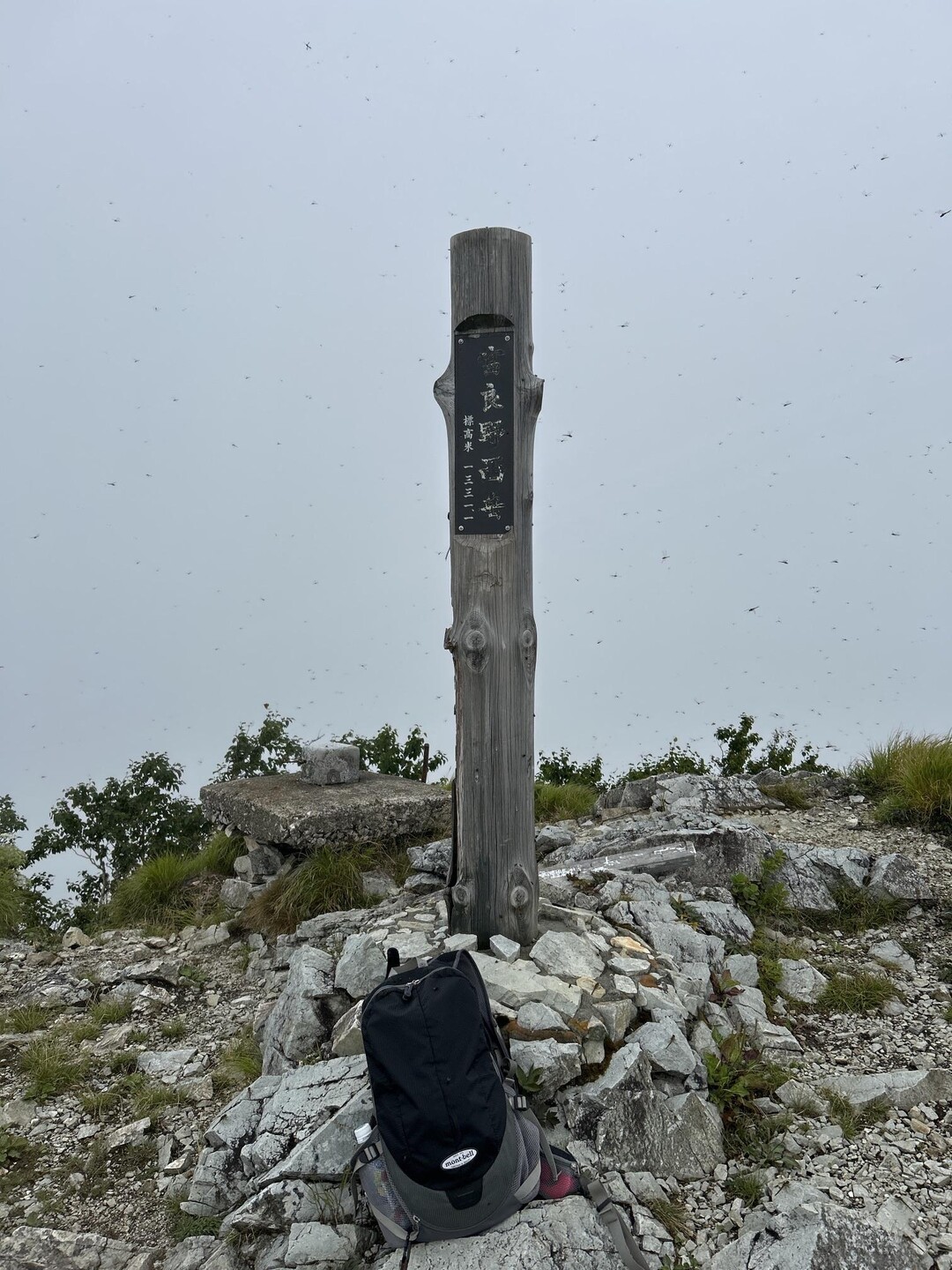 富良野西岳-2024-08-02 / tana-botaさんの富良野西岳の活動データ | YAMAP / ヤマップ