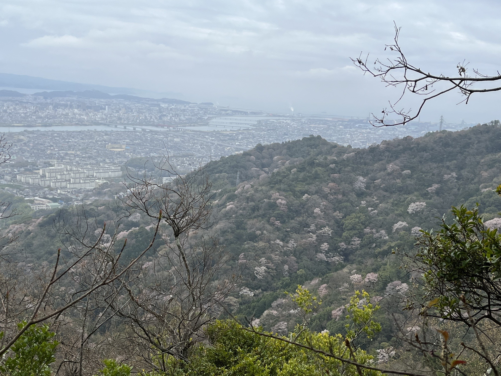 greenmoonきくちゃんさんの投稿したフィールドメモ | YAMAP / ヤマップ