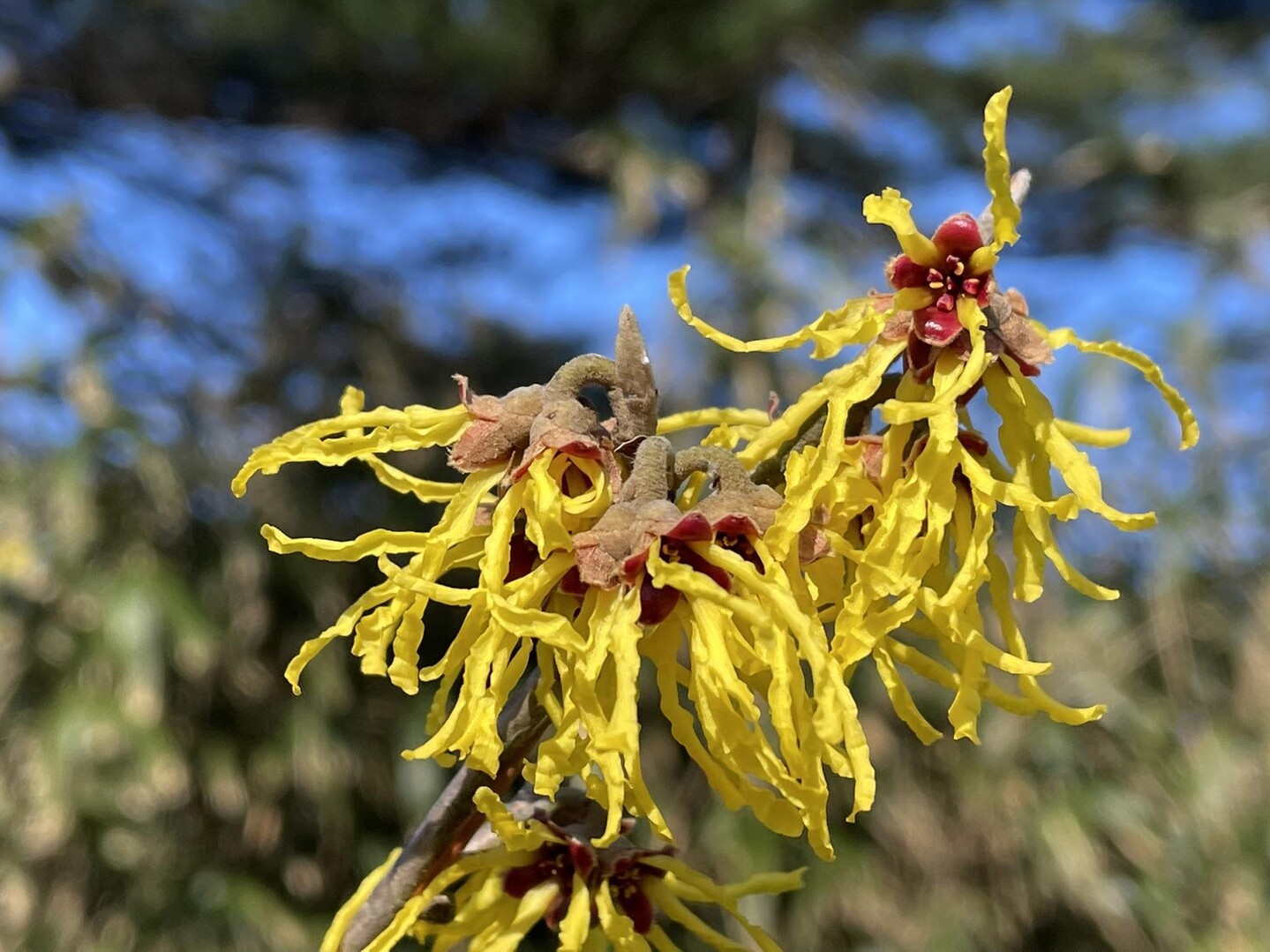 角田山 宮沢〜宮前6合目〜古墳 / kaizaさんの角田山の活動データ | YAMAP / ヤマップ