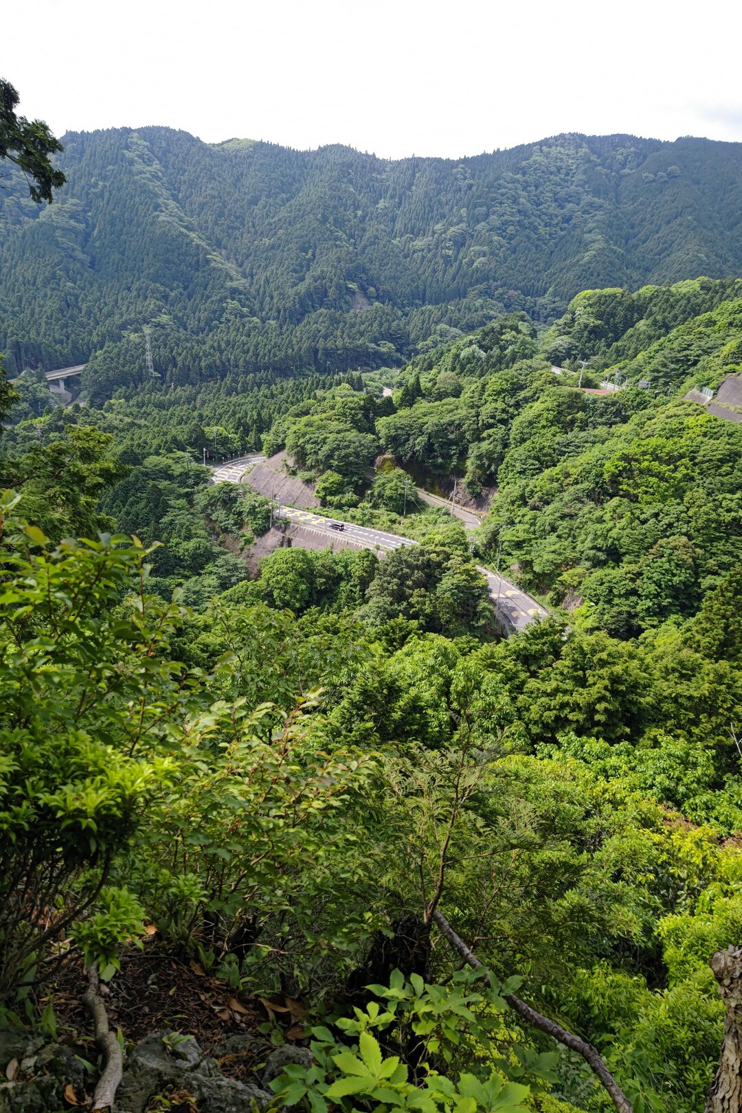高畑山東峰・高畑山・溝干山 / cocataさんの高畑山・那須ヶ原山・油日岳の活動データ | YAMAP / ヤマップ