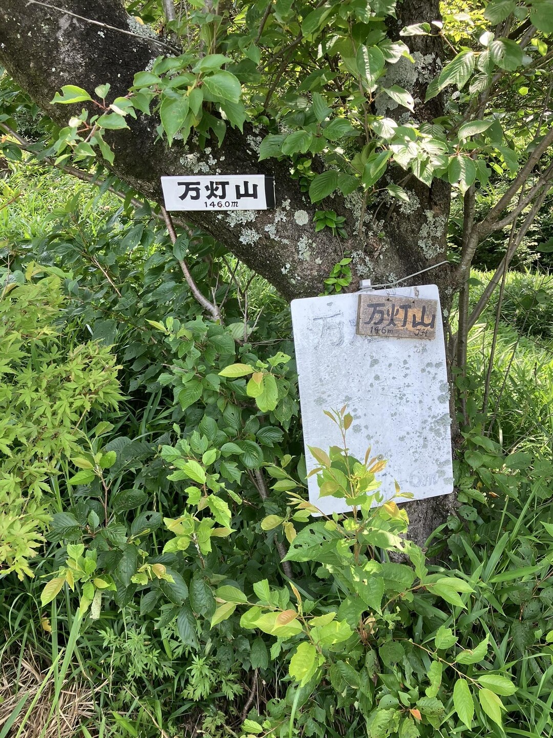 万灯山最高点・万灯山 / yt.crowさんの茶臼山・万灯山の活動データ | YAMAP / ヤマップ