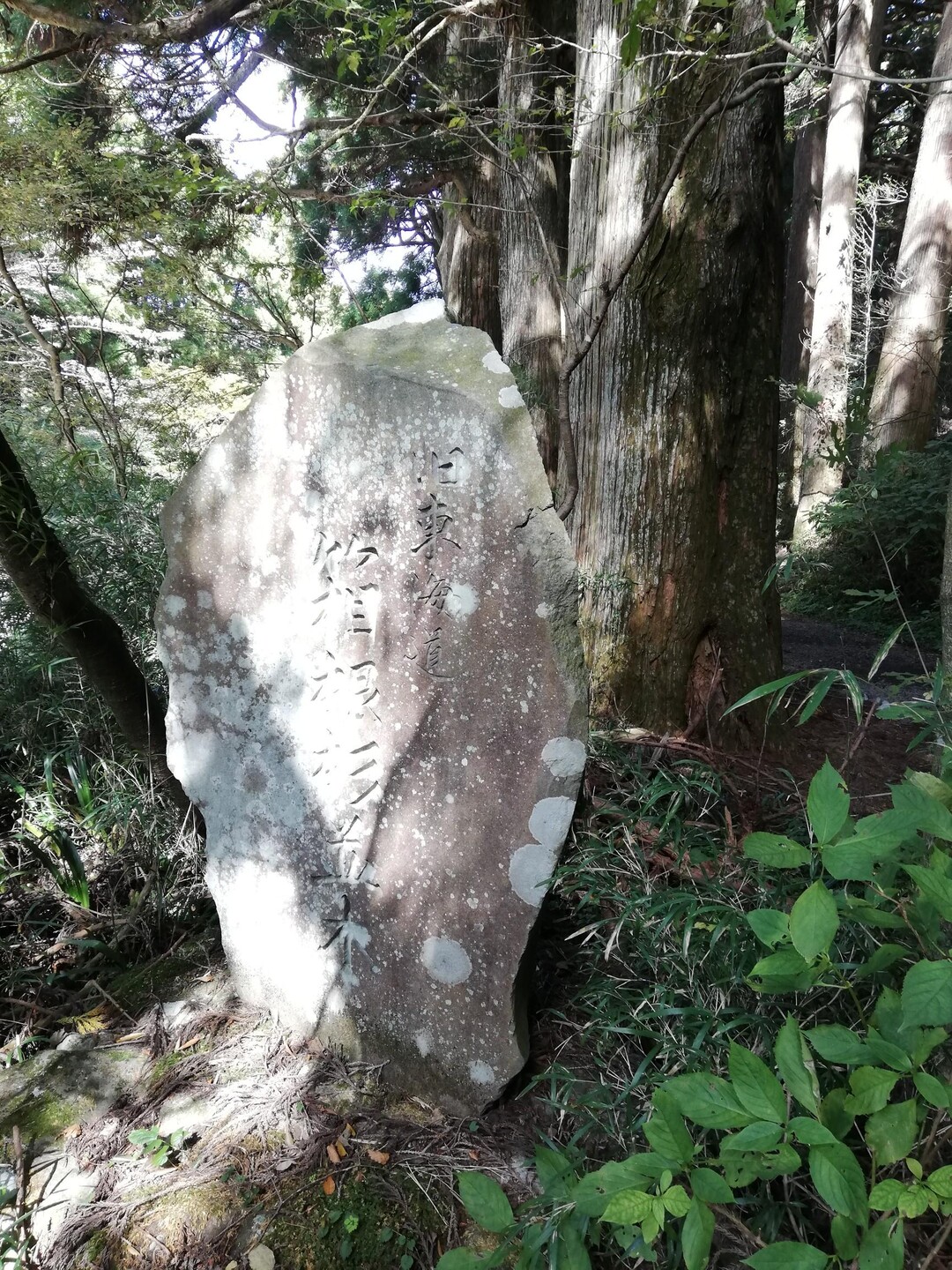 小田原から箱根登山鉄道 → 箱根登山ケー... / K ＆ Mさんのモーメント | YAMAP / ヤマップ