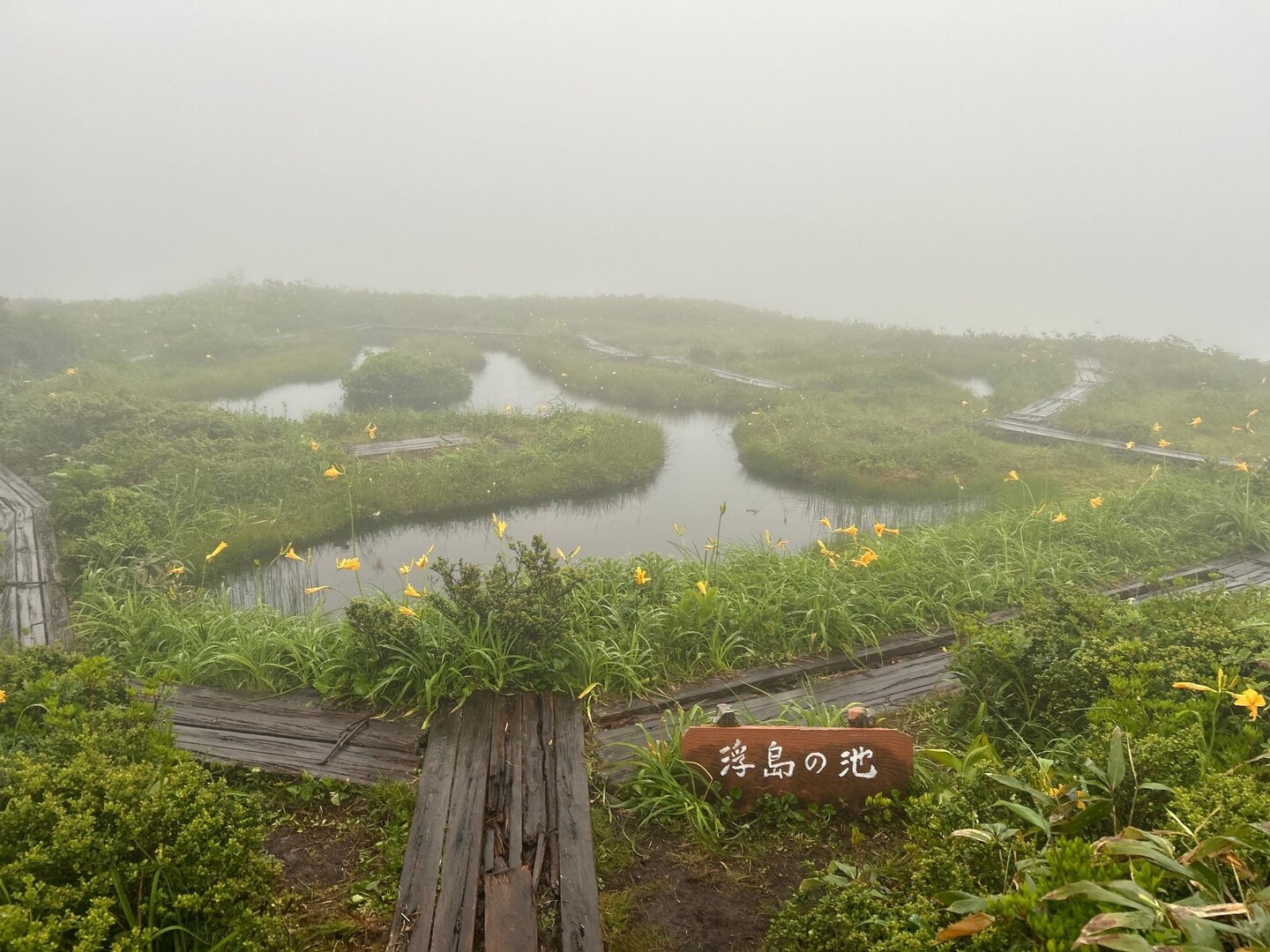 白木峰 / Tsuさんの白木峰・小白木峰の活動日記 | YAMAP / ヤマップ