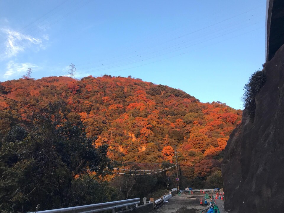 油コブシ-六甲ケーブル山上駅 周回コースの地図・登山ルート・登山口情報 | YAMAP / ヤマップ