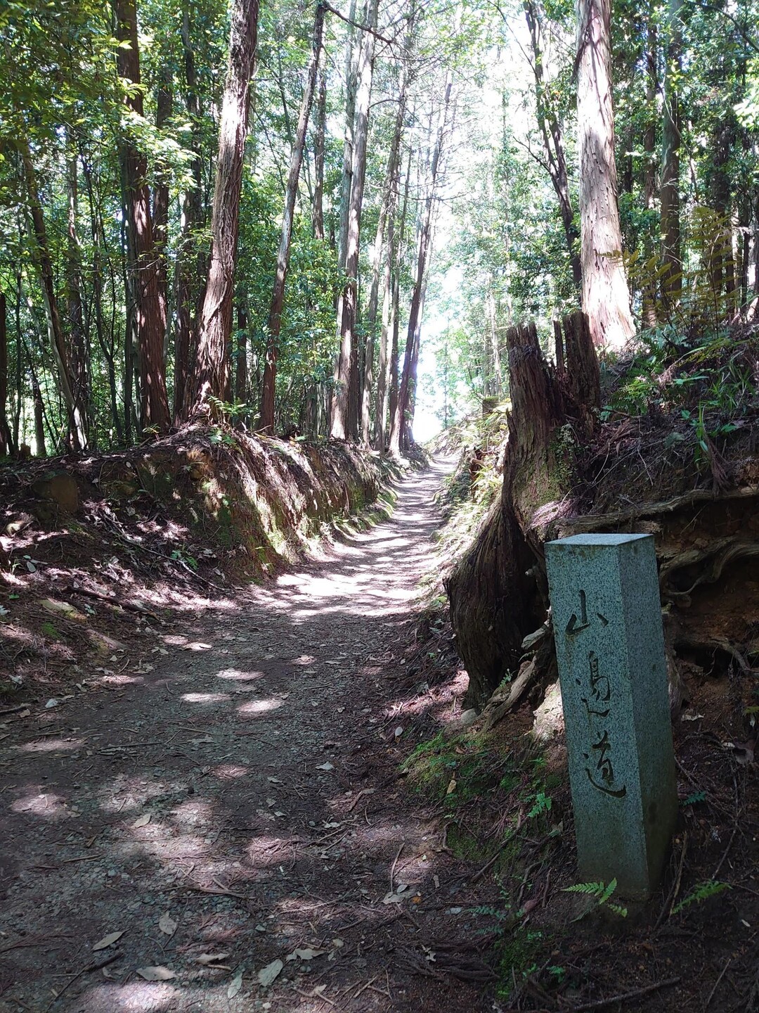 山の辺の道 南エリア 大神神社〜 / hen.miさんの三輪山・巻向山・龍王山の活動データ | YAMAP / ヤマップ