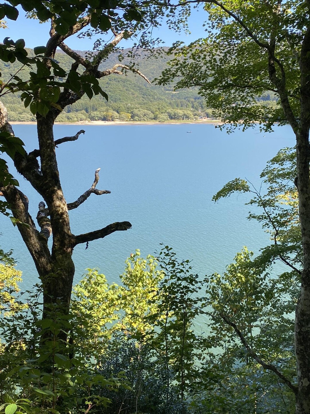 堂場山-2022-10-01 / zuko@さんの堂場山の活動日記 | YAMAP / ヤマップ