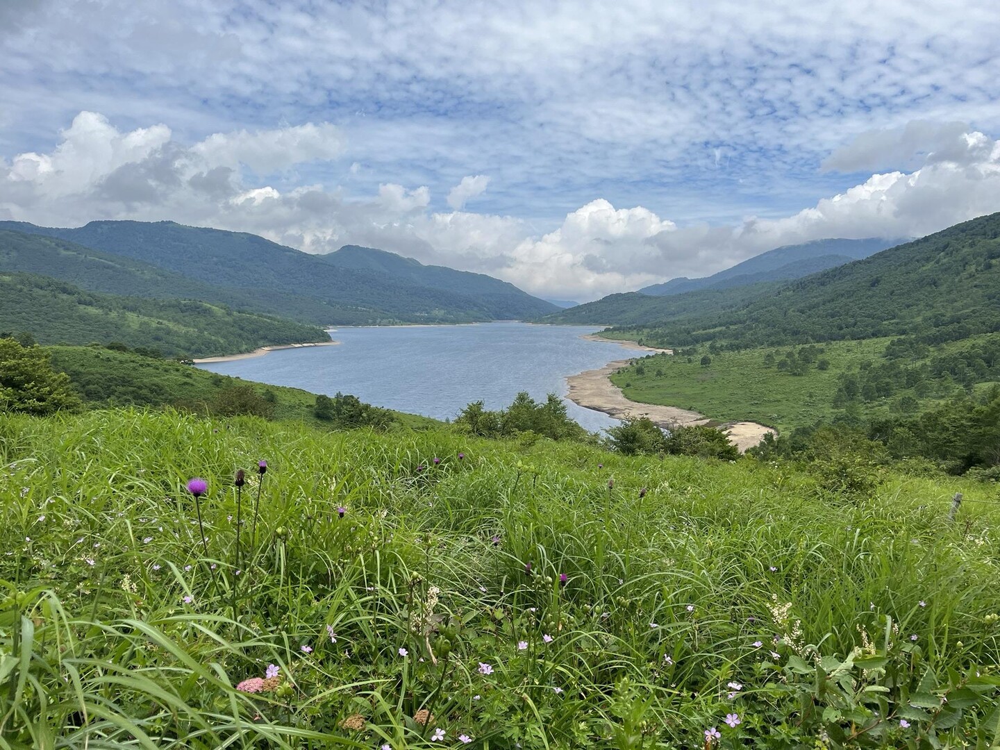 イカイワの頭・八間山 / banbanさんの白砂山・堂岩山・八間山の活動データ | YAMAP / ヤマップ
