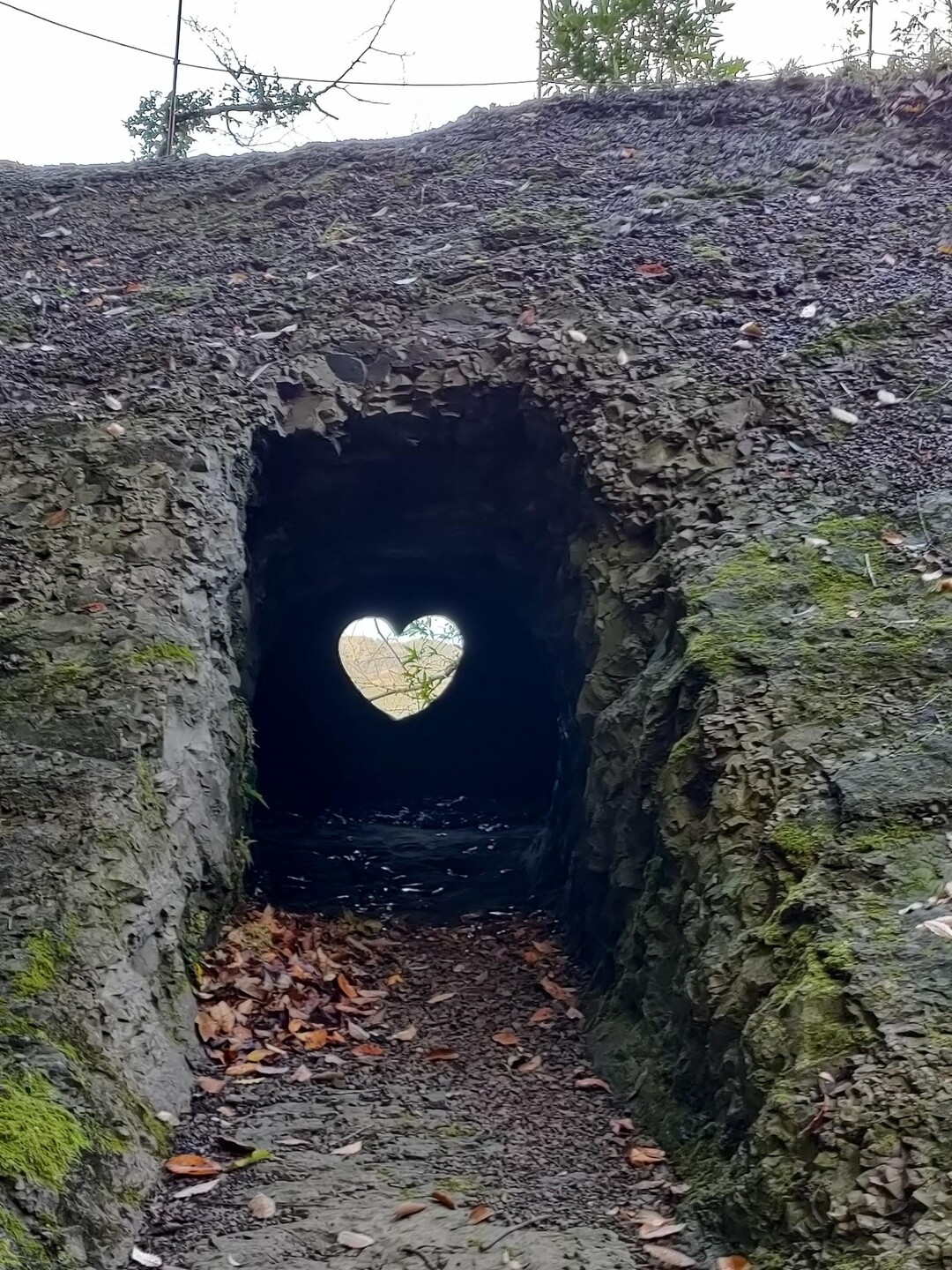 19751128のページ | YAMAP / ヤマップ