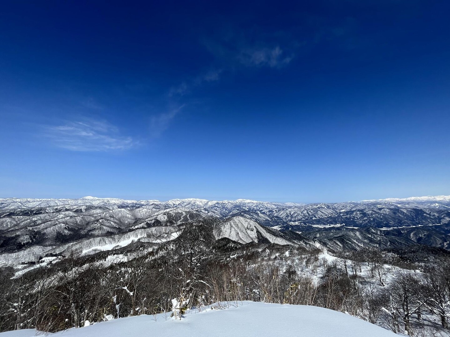 猪臥山 / talviさんの猪臥山の活動データ | YAMAP / ヤマップ