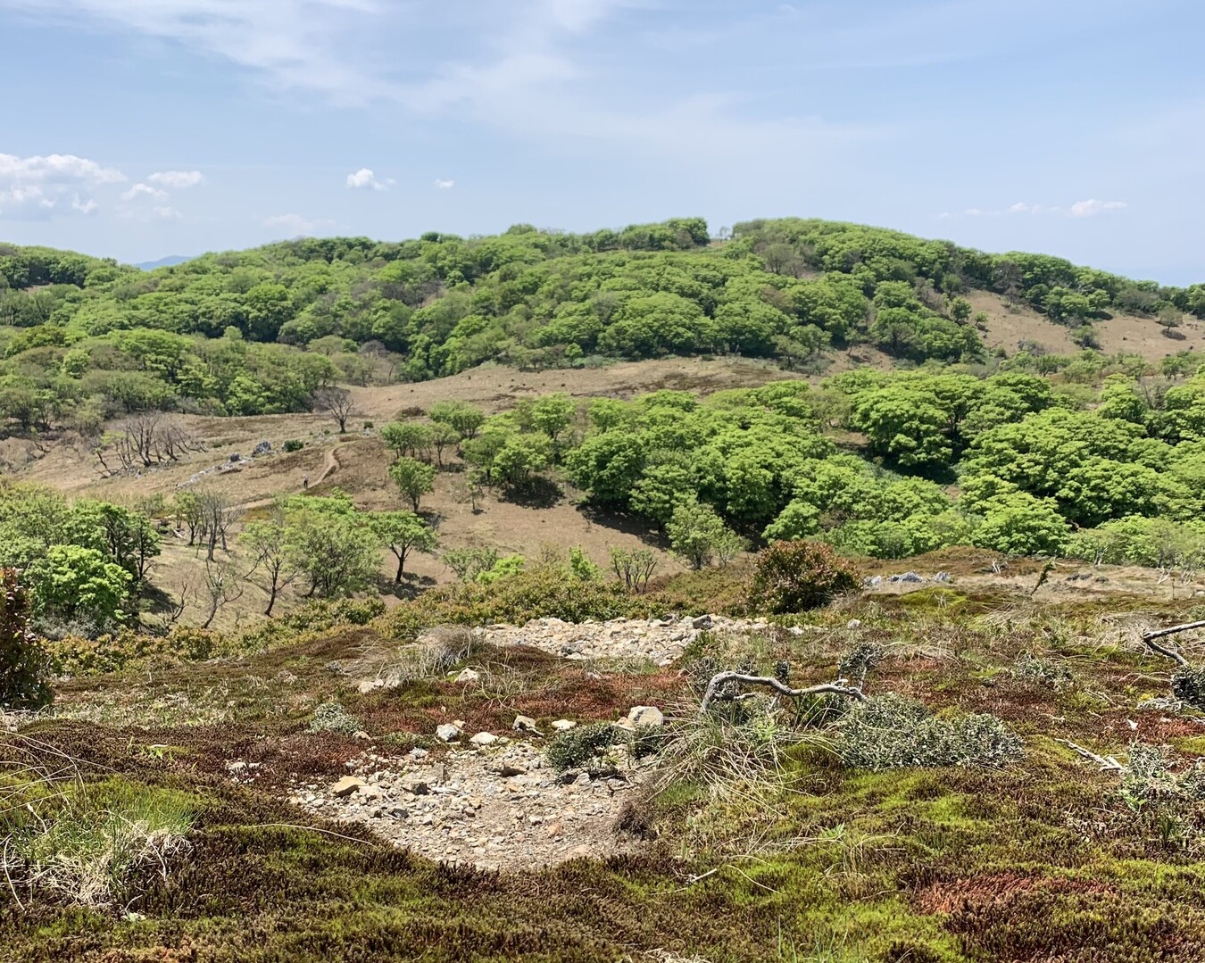 御池岳・鈴北岳 / emikoさんの藤原岳・御池岳の活動日記 | YAMAP / ヤマップ