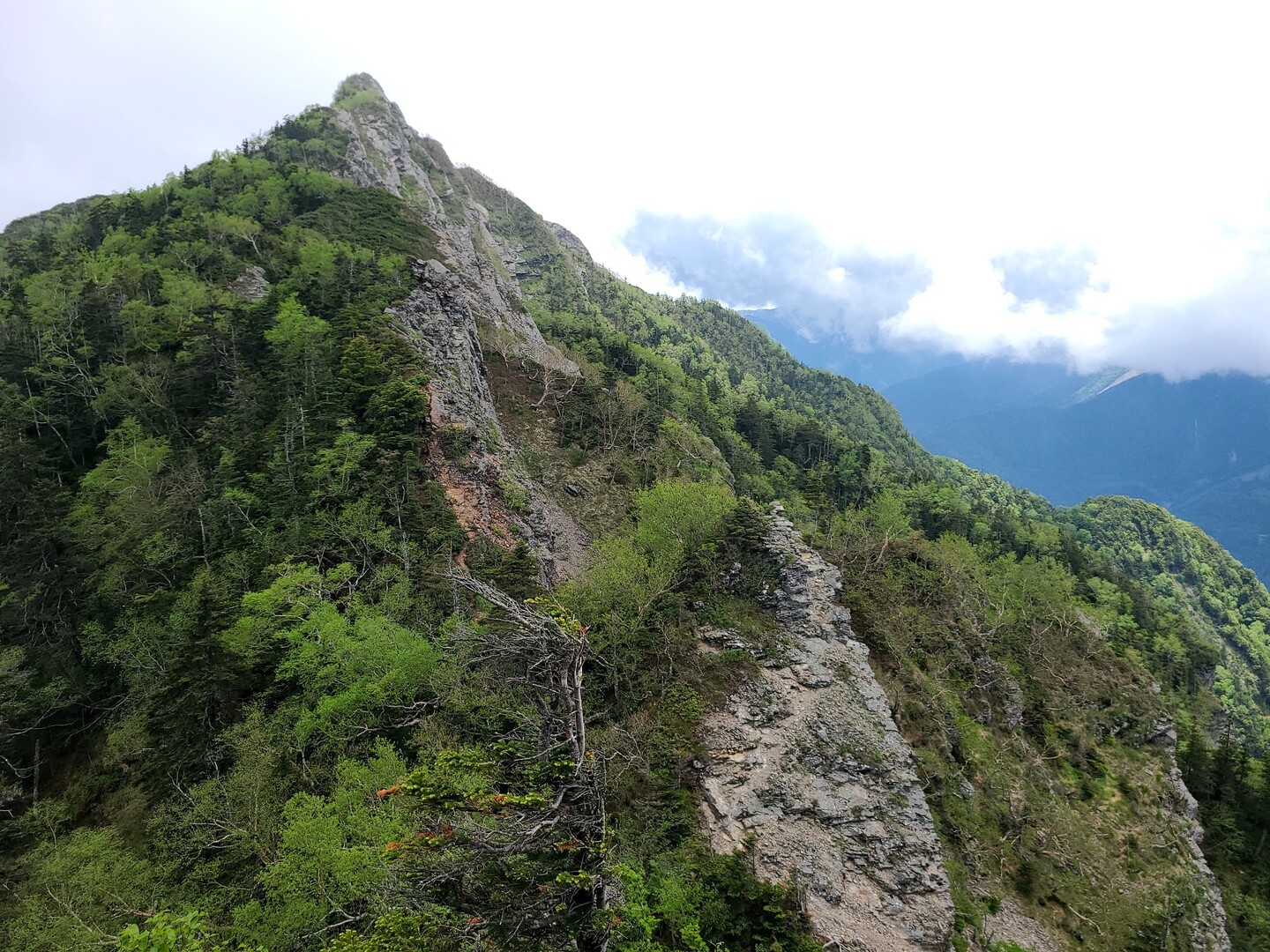 角兵衛沢ノ頭・鋸岳 / ORIさんの甲斐駒ヶ岳・日向山の活動日記 | YAMAP / ヤマップ