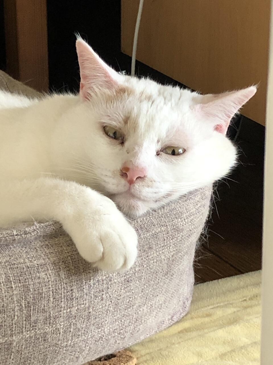 HNのページ | YAMAP / ヤマップ