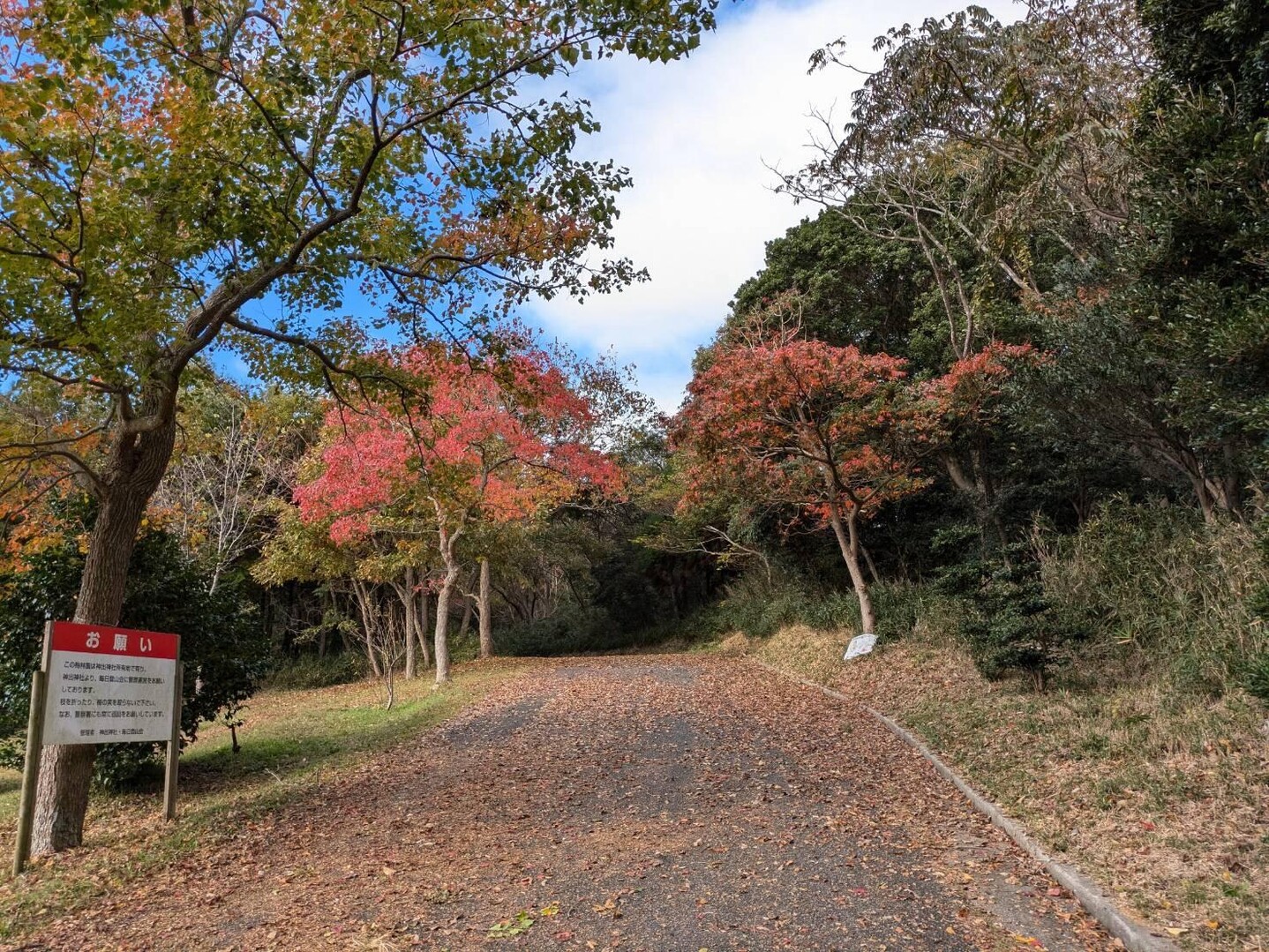 雌岡山・御茶山・愛宕山・雄岡山 / Mikity さんの雄岡山・雌岡山の活動データ | YAMAP / ヤマップ