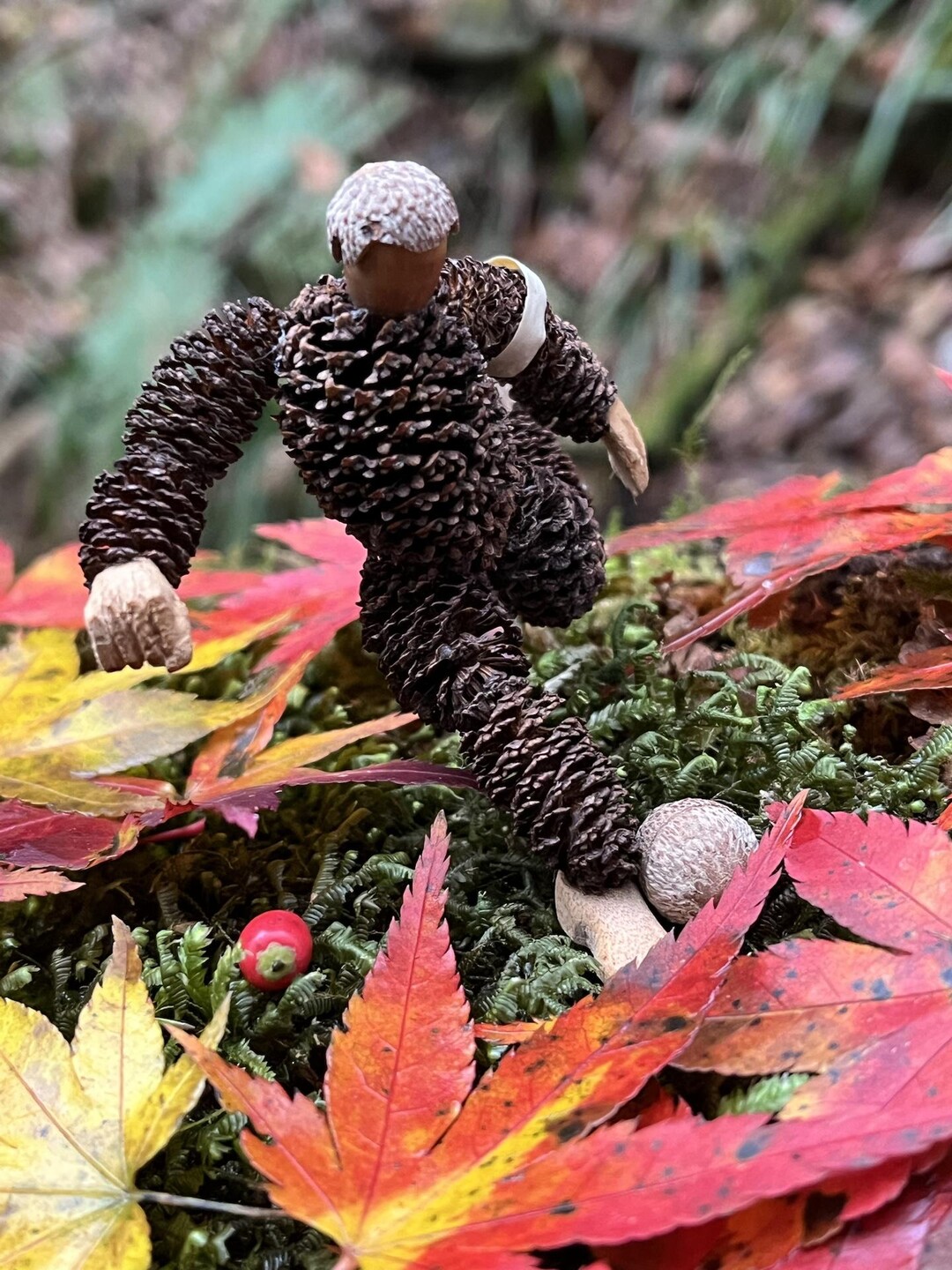 金剛山のボックリアート🍁 / とにかくんさんの金剛山・二上山・大和葛城山の活動データ | YAMAP / ヤマップ