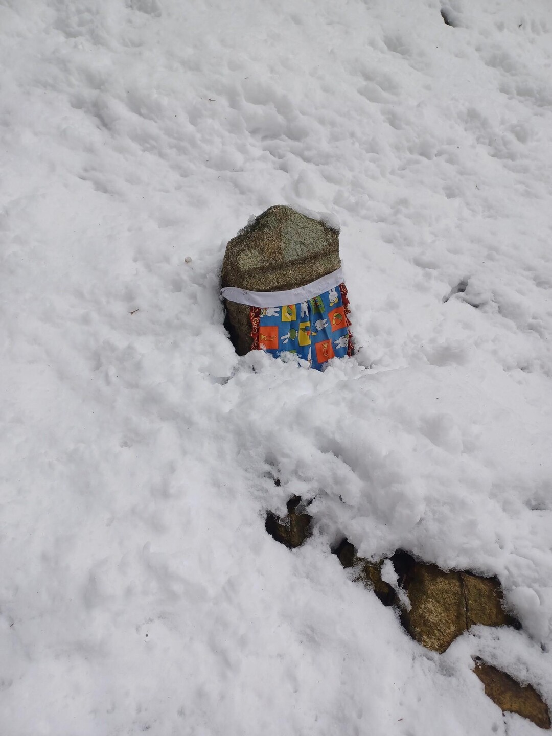 初めての雪山 ～荒神山～ / Azy-mさんの荒神山の活動データ | YAMAP / ヤマップ