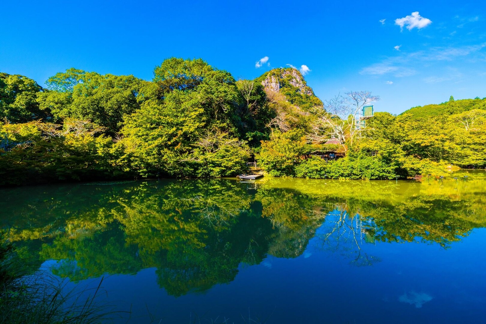 御船山楽園⛰ まだまだで〜す🥲 11月... / Koki・Fさんのモーメント | YAMAP / ヤマップ