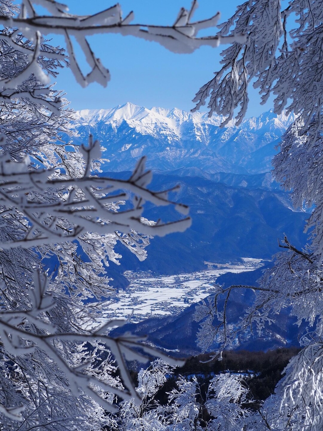 猪臥山 / NON-BELLさんの猪臥山の活動データ | YAMAP / ヤマップ